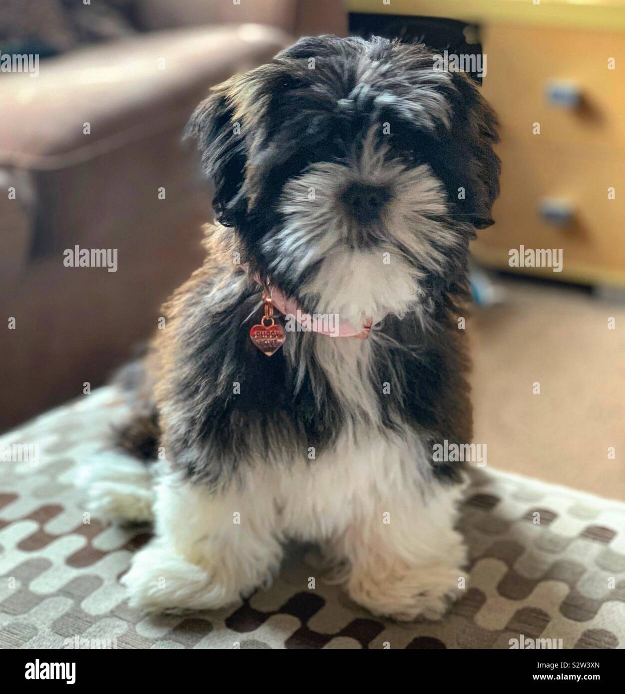 Dora the explorer dora immagini e fotografie stock ad alta risoluzione ...