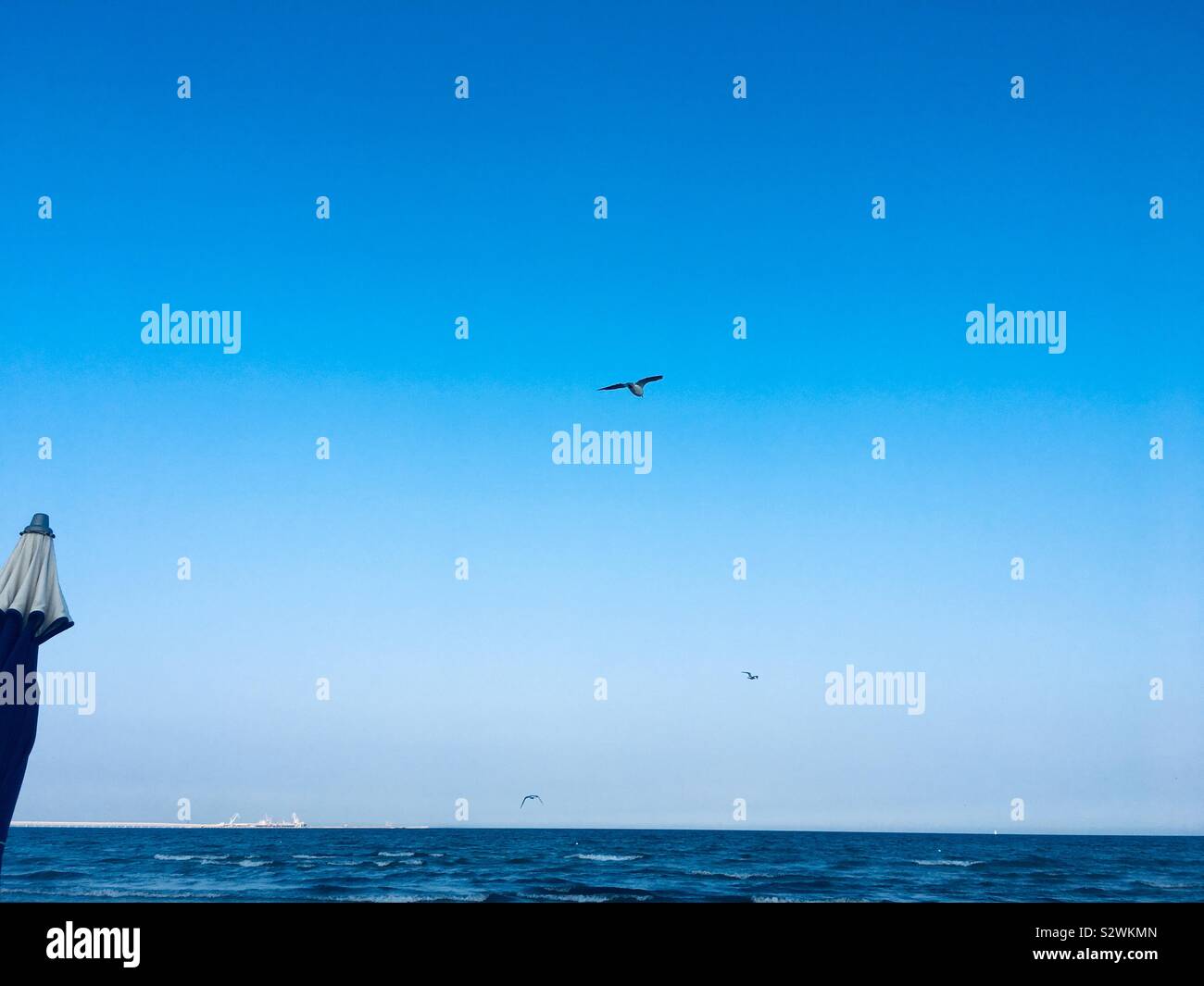 Volare in cielo immagini e fotografie stock ad alta risoluzione - Alamy