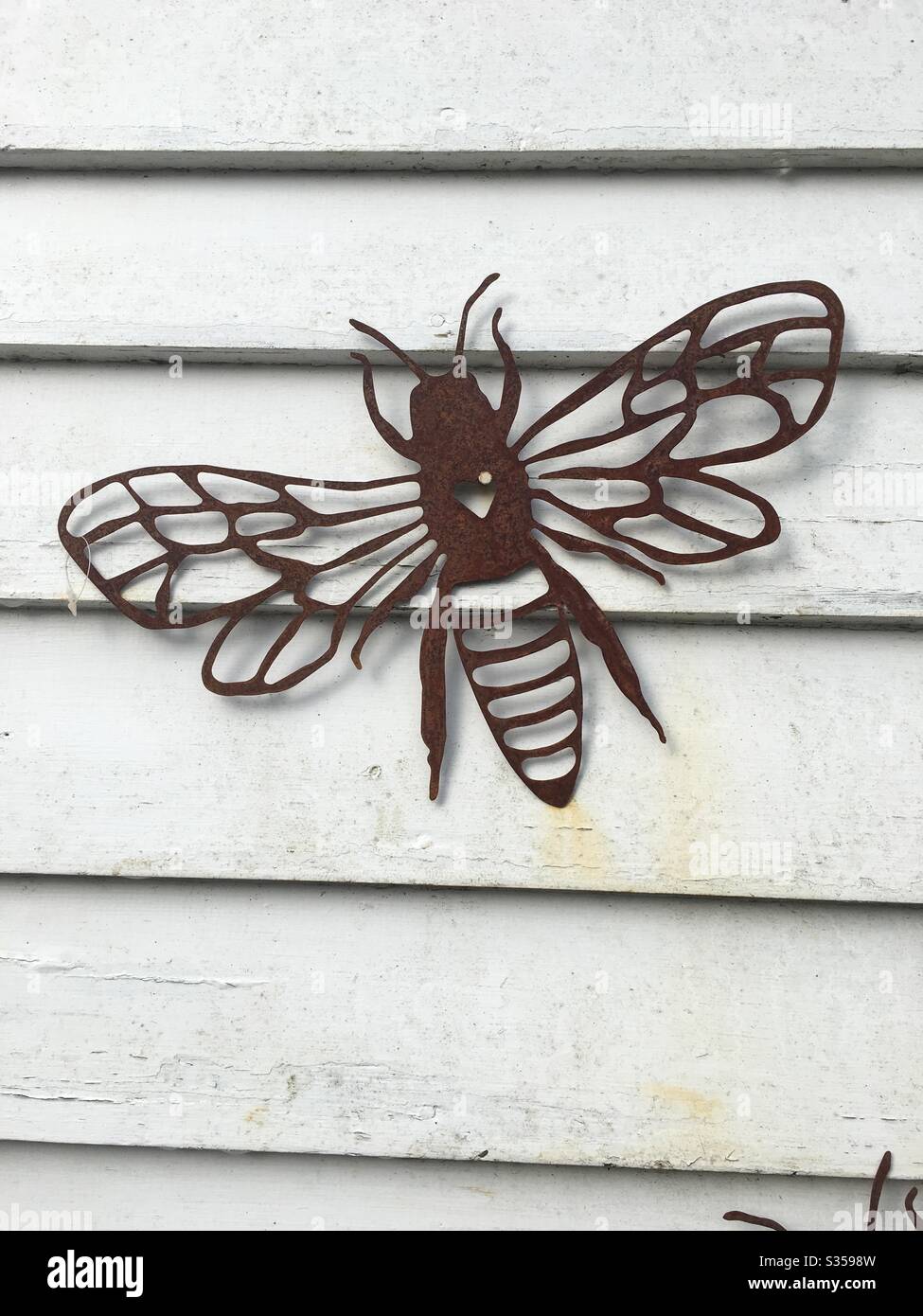 Ape insetto immagini e fotografie stock ad alta risoluzione - Alamy