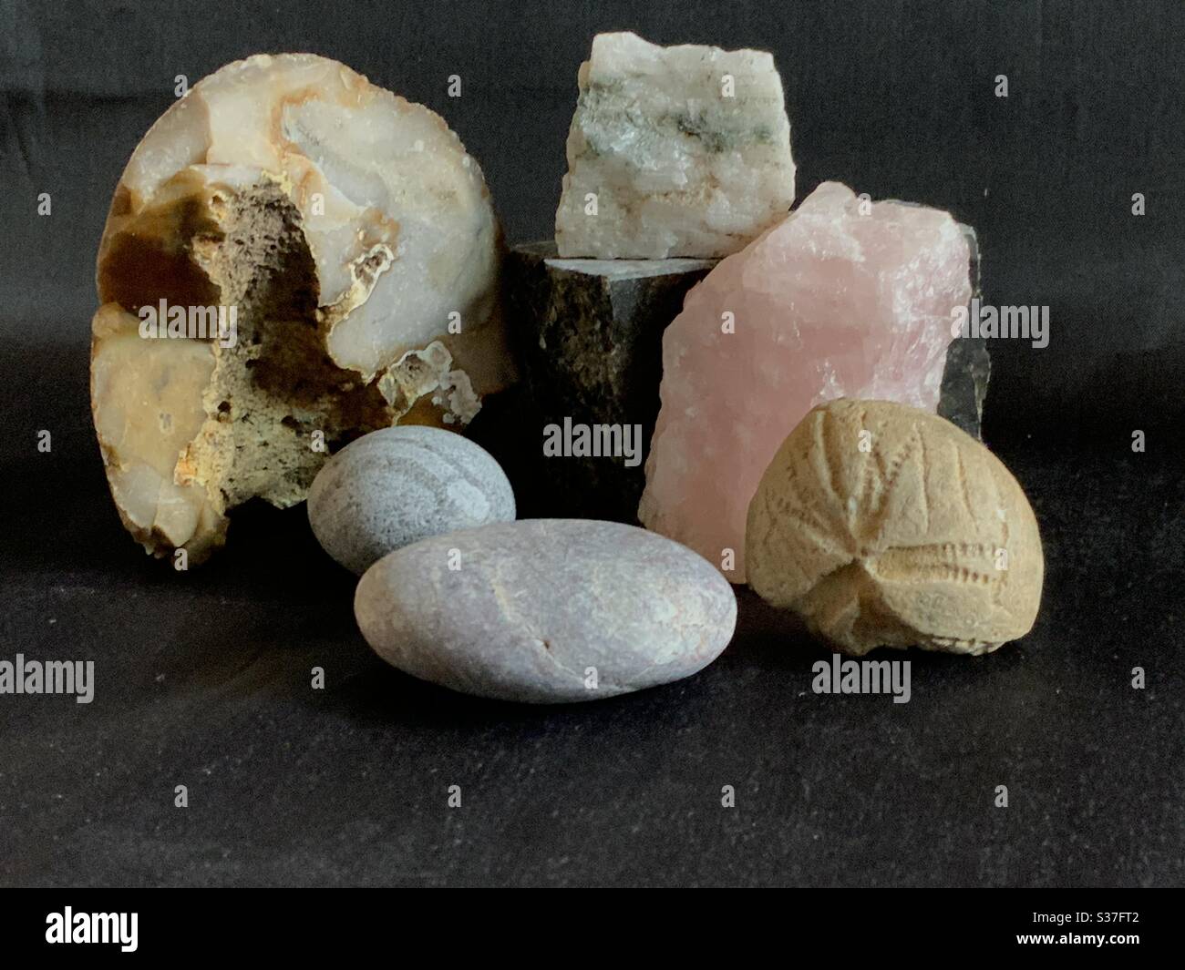 Selce roccia immagini e fotografie stock ad alta risoluzione - Alamy