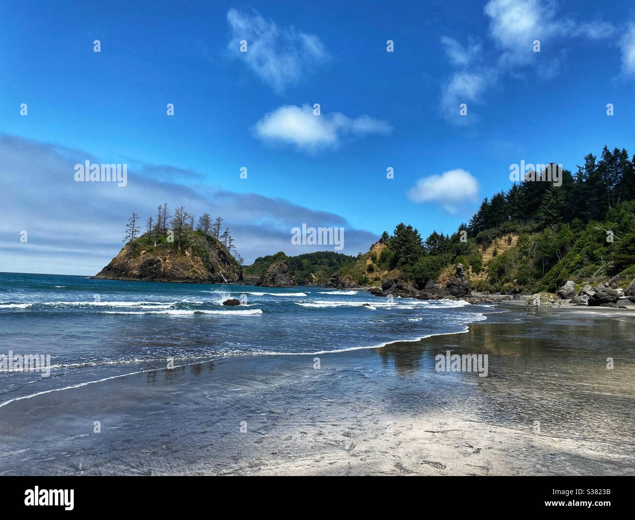 Trinidad state beach immagini e fotografie stock ad alta risoluzione ...