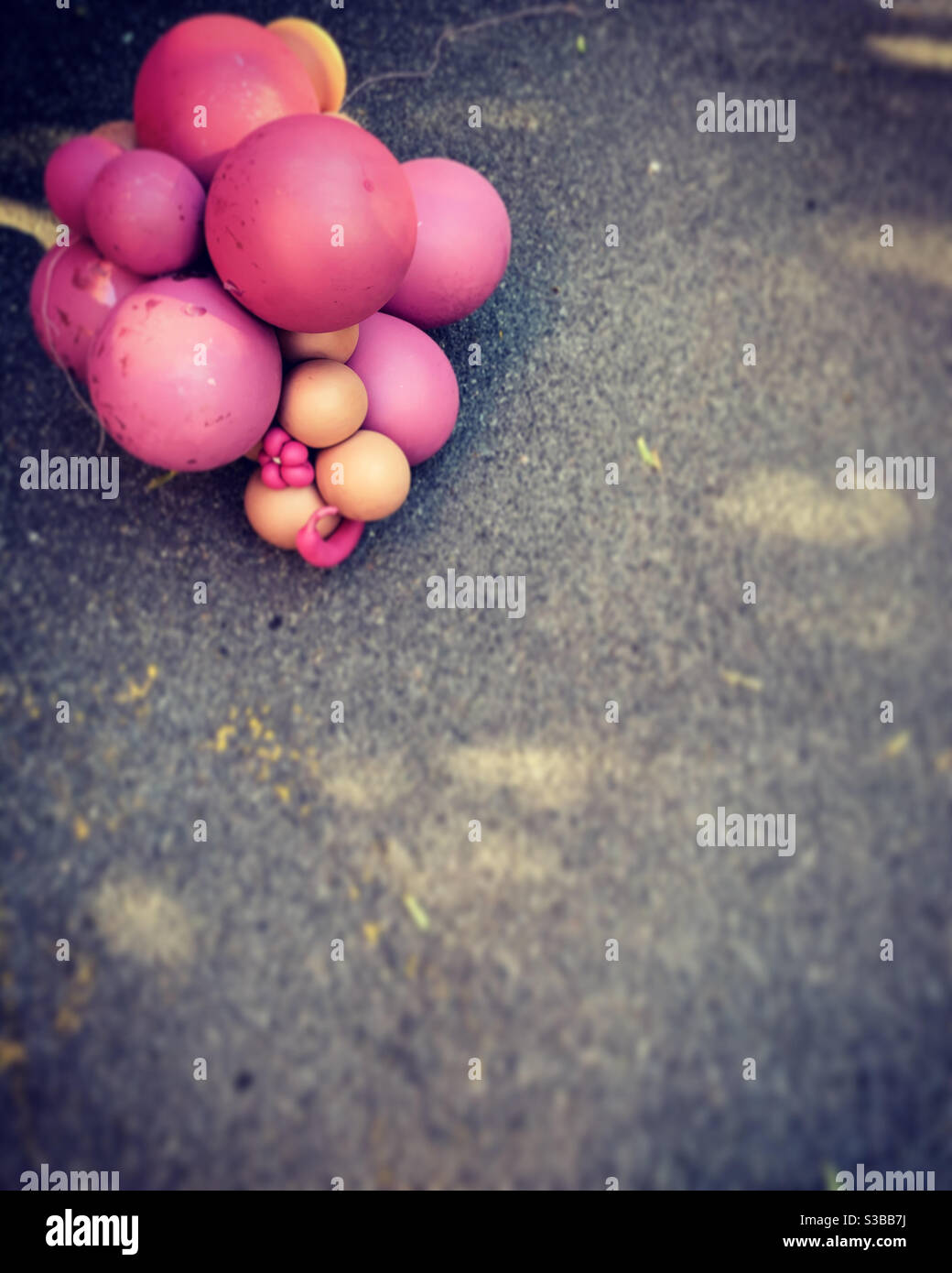 Palloncini rosa immagini e fotografie stock ad alta risoluzione - Alamy