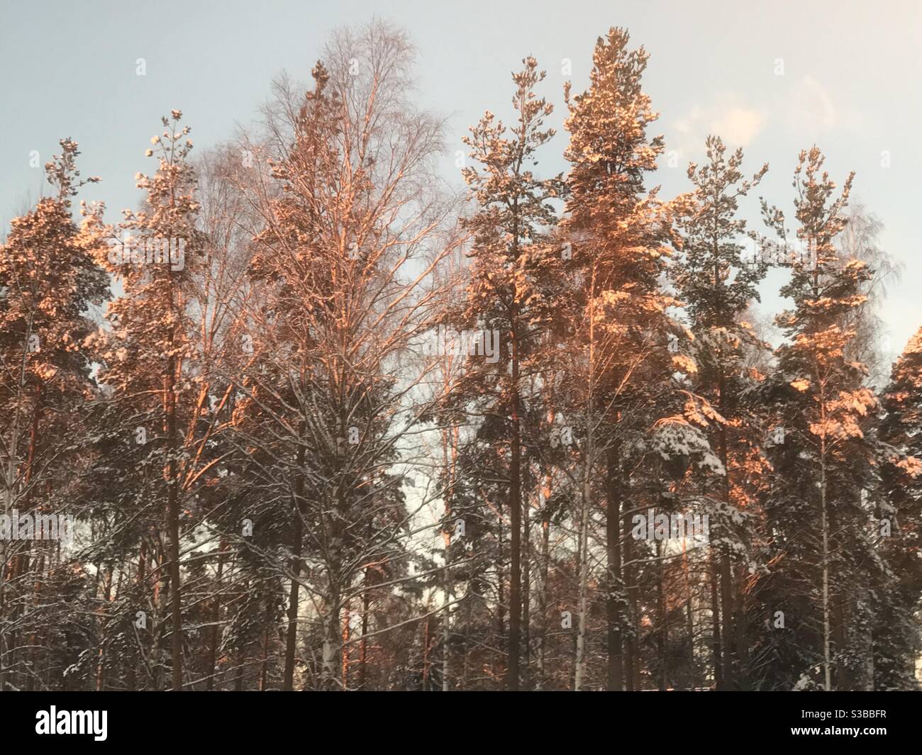Alberi di natale luminosi immagini e fotografie stock ad alta ...