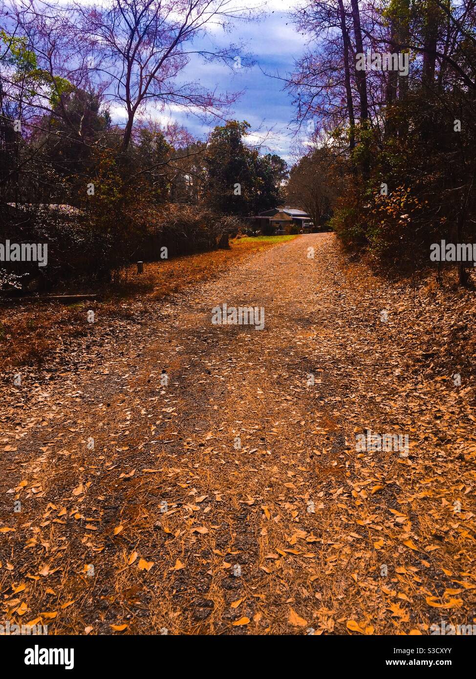 Vecchia strada sterrata immagini e fotografie stock ad alta risoluzione ...