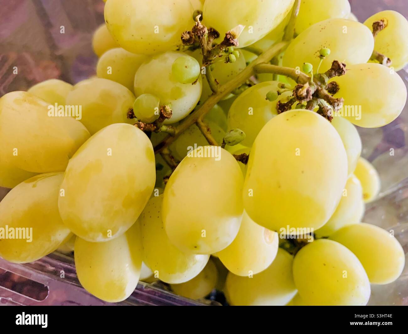 Mangia uva immagini e fotografie stock ad alta risoluzione - Alamy