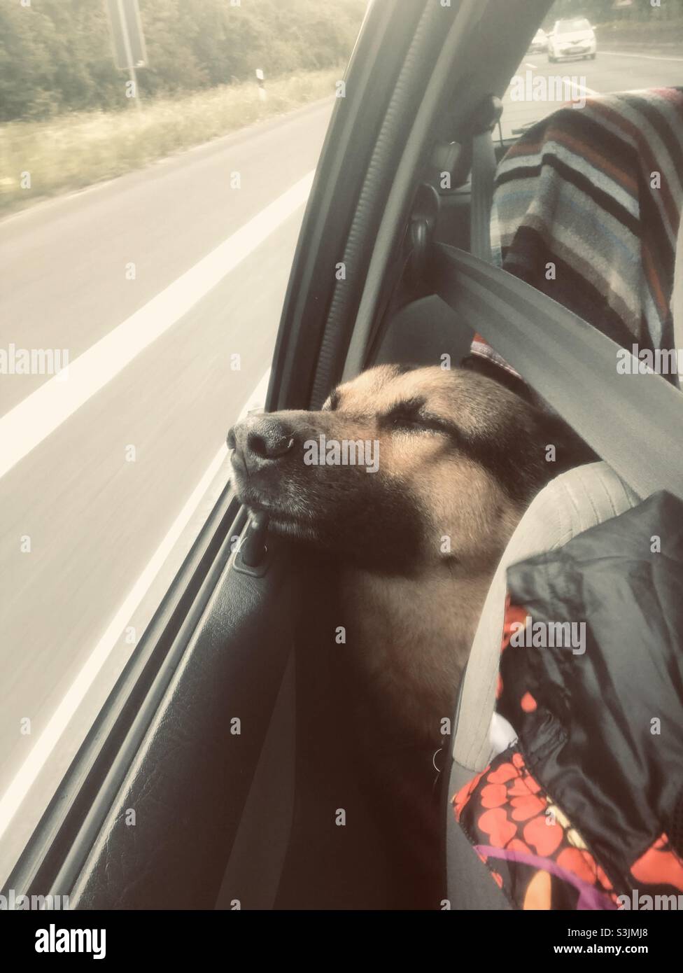 Il soffio del vento immagini e fotografie stock ad alta risoluzione - Alamy