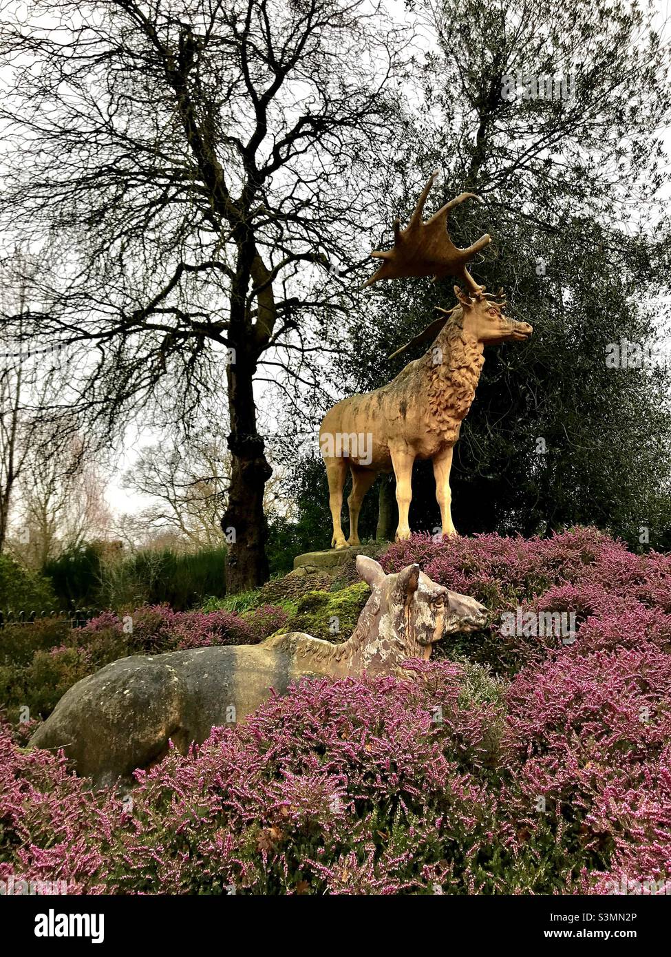 Megaloceros giganteus immagini e fotografie stock ad alta risoluzione ...