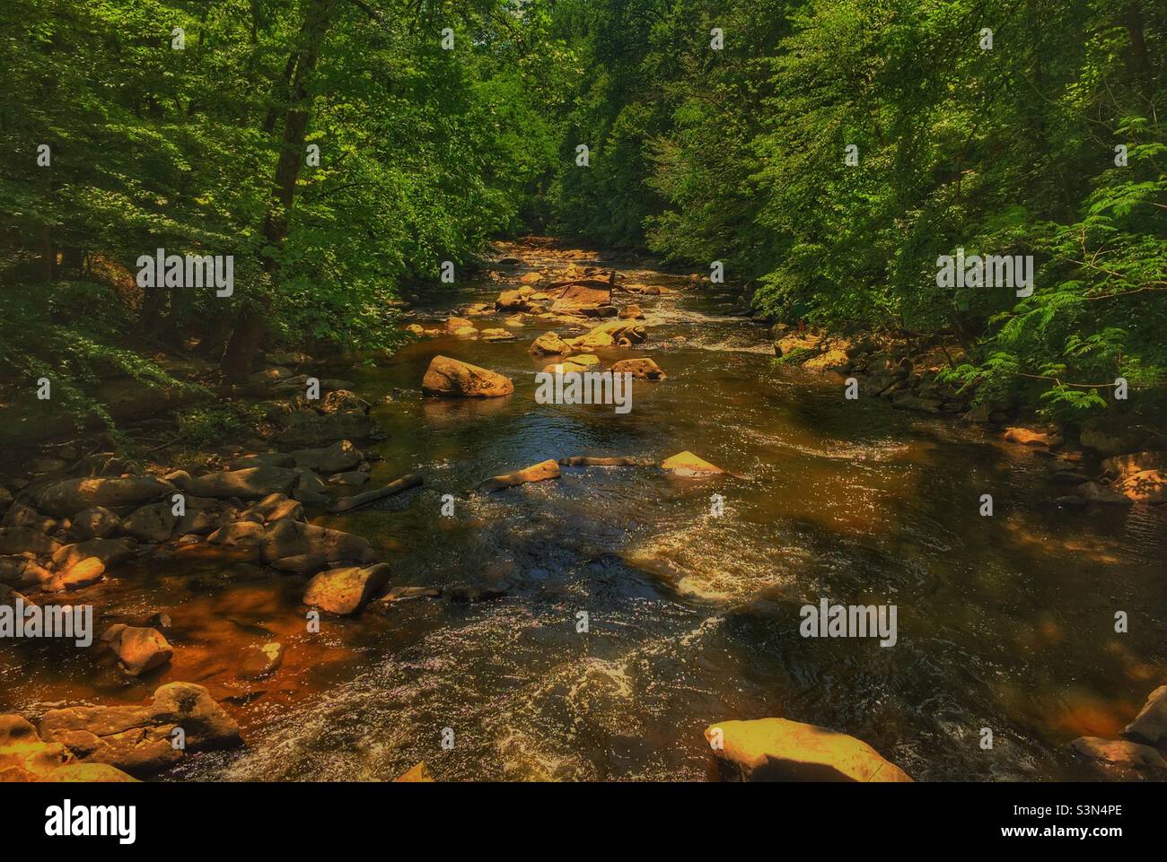 Rock creek park immagini e fotografie stock ad alta risoluzione - Alamy