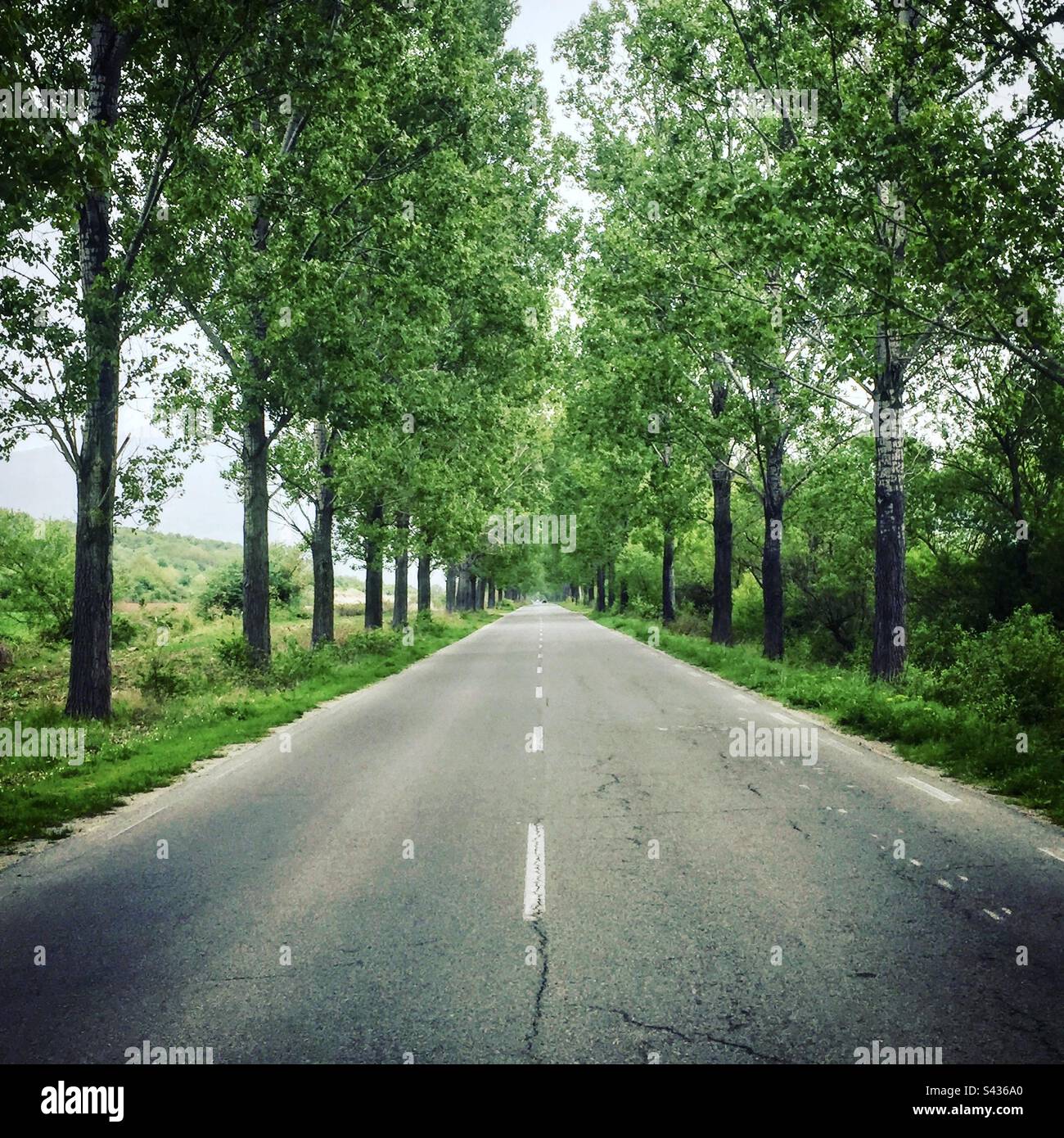 La strada verde immagini e fotografie stock ad alta risoluzione - Alamy