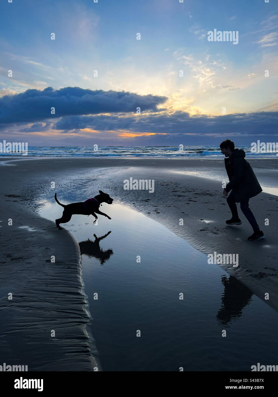 Sagoma di cane che salta immagini e fotografie stock ad alta ...