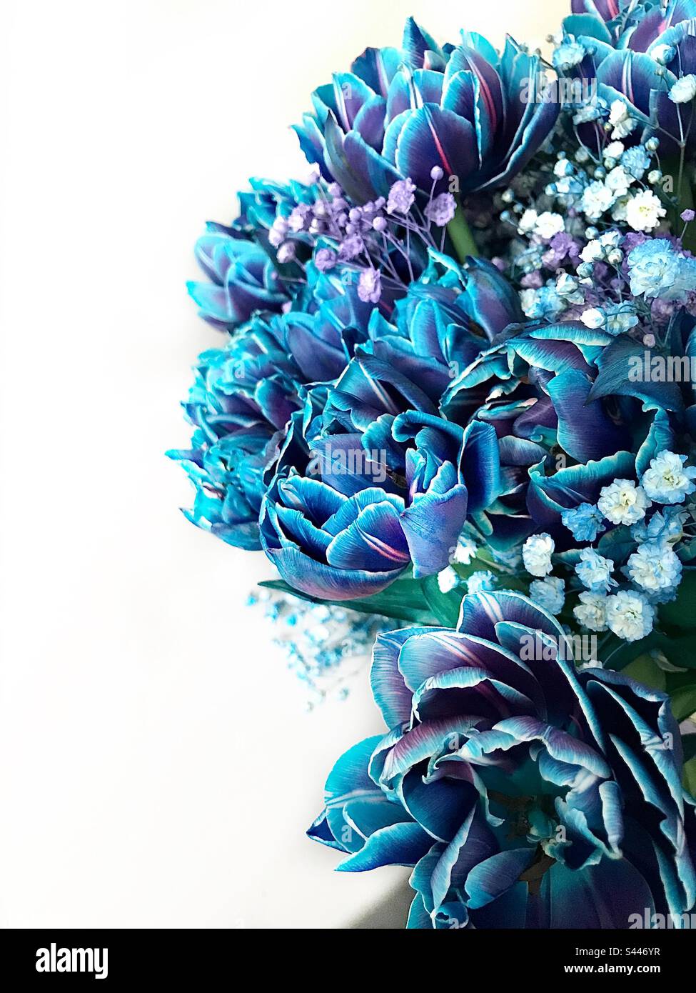 Fiori dipinti di blu immagini e fotografie stock ad alta risoluzione ...