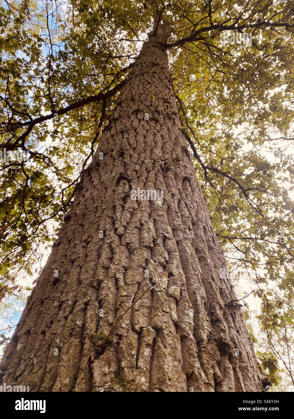 Di grandezza immagini e fotografie stock ad alta risoluzione - Alamy