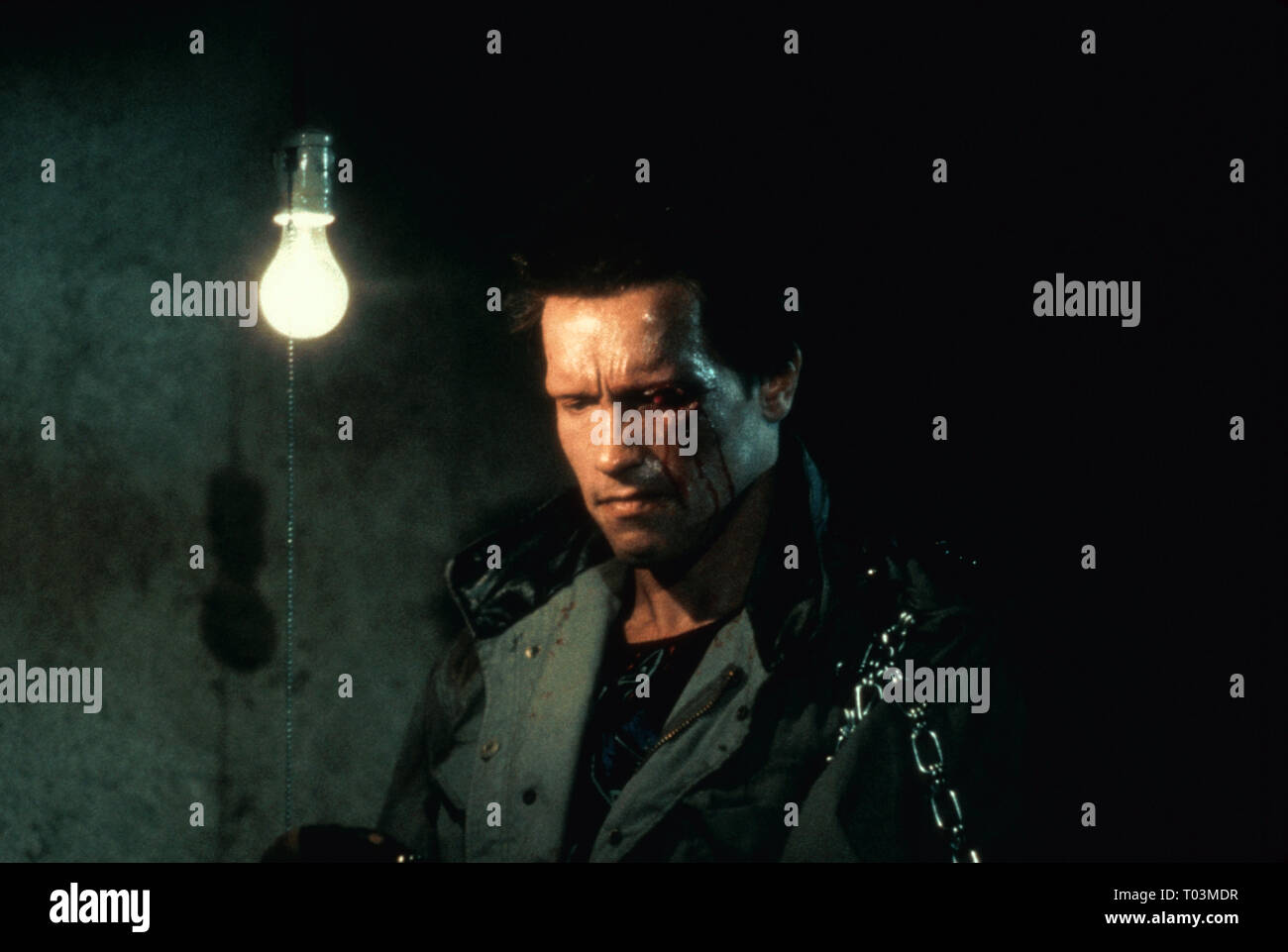 Terminator arnold schwarzenegger 1984 immagini e fotografie stock ad ...