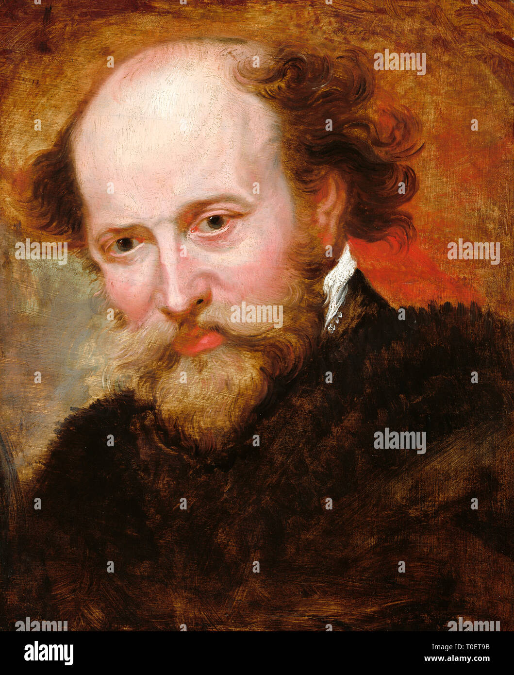 Ritratto di sir peter paul rubens immagini e fotografie stock ad alta ...