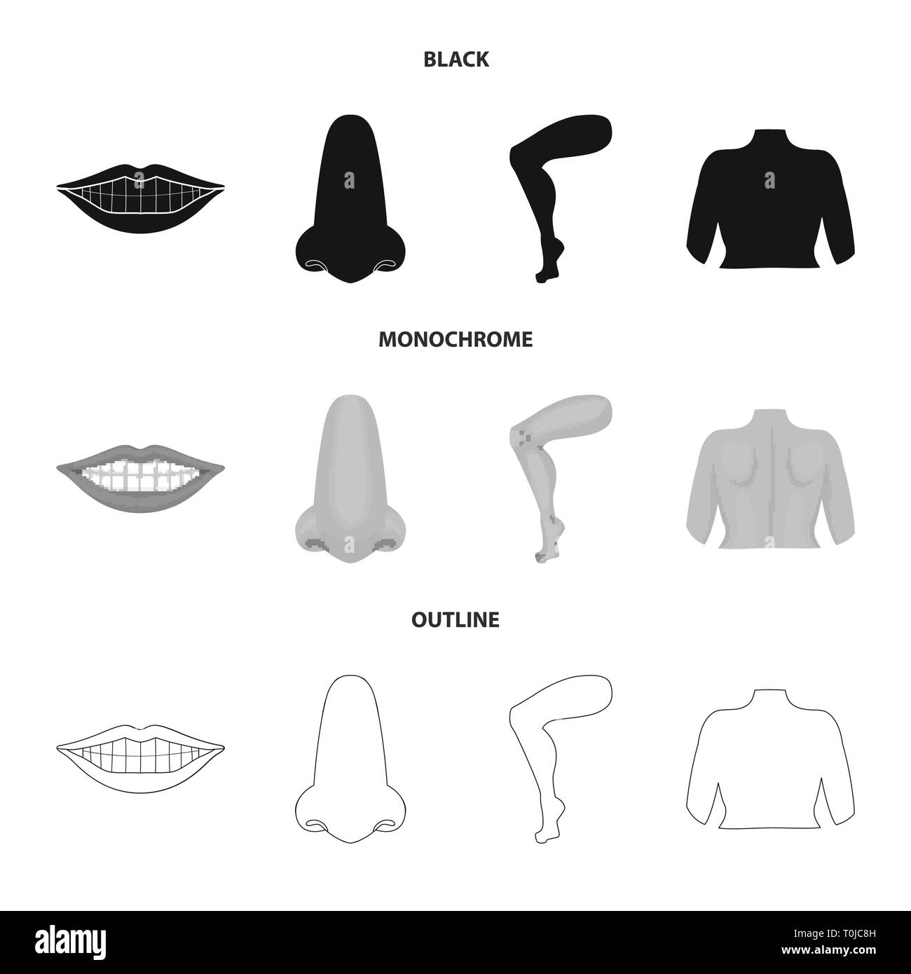 Anatomia di umana i muscoli della gamba Foto e Immagini Stock in Bianco ...