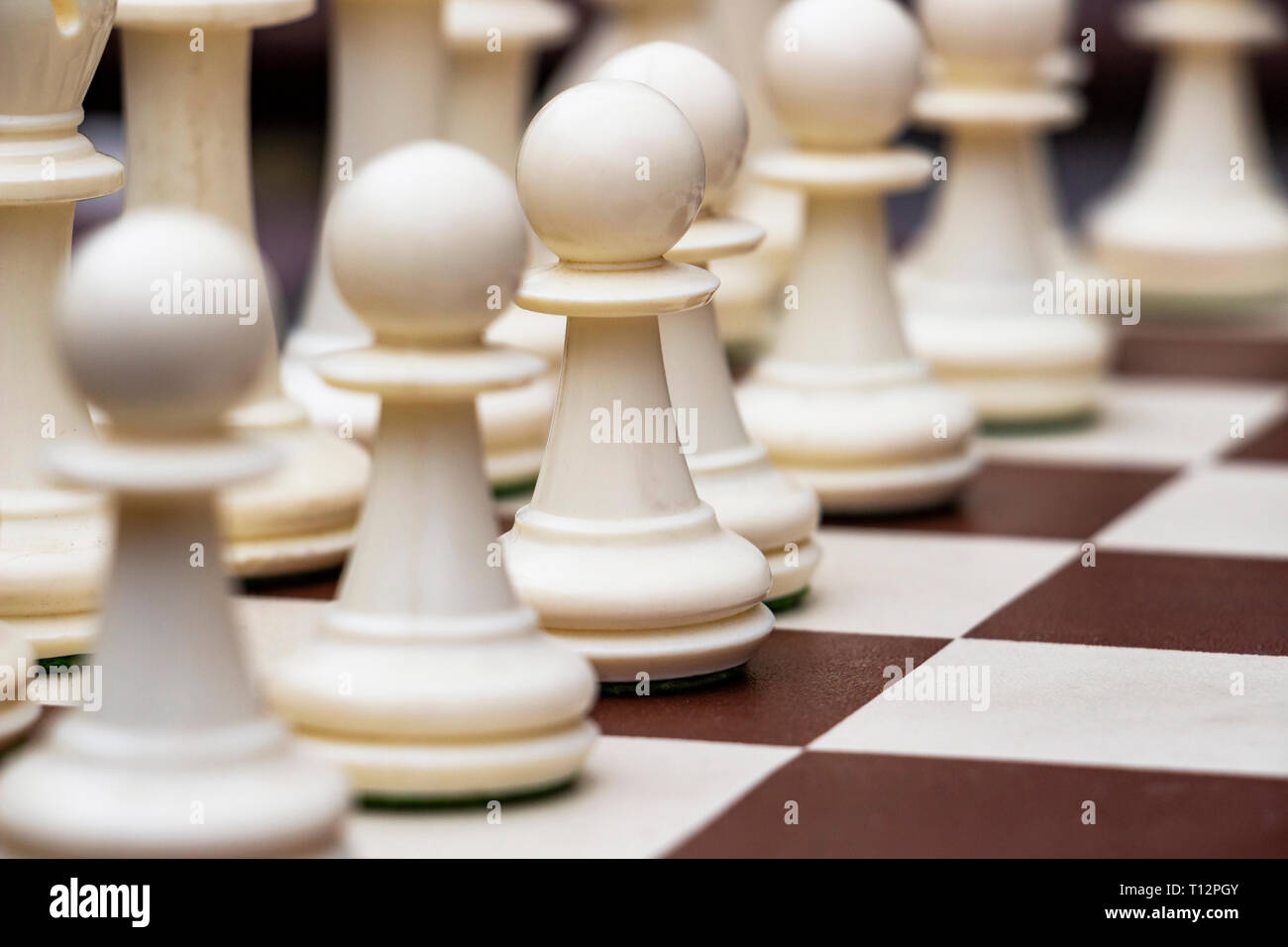 Scacchi Pedine Bianche Immagini e Fotos Stock - Alamy