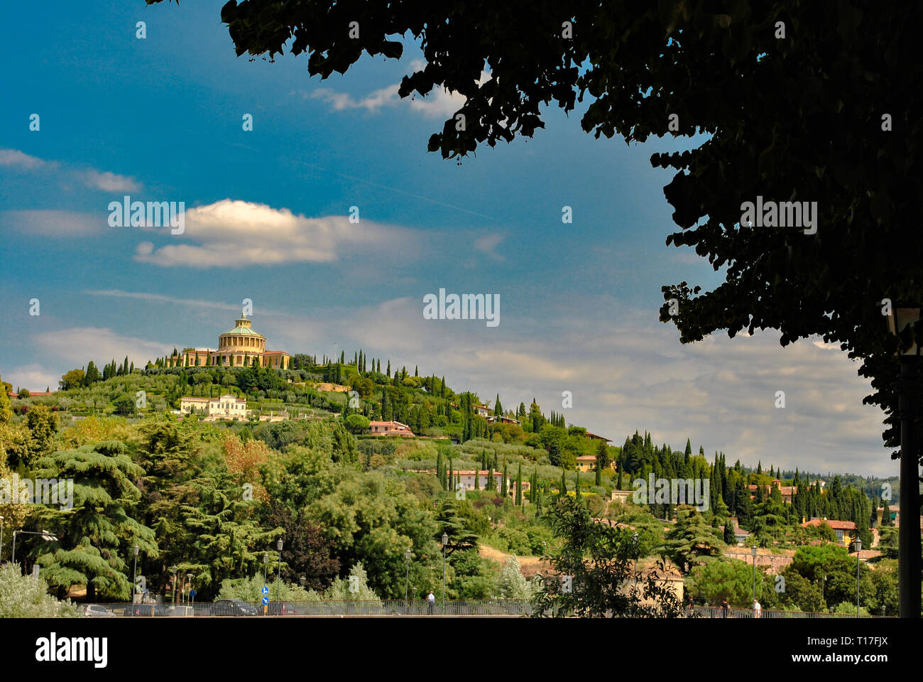 Villa e vigneto toscana immagini e fotografie stock ad alta risoluzione ...