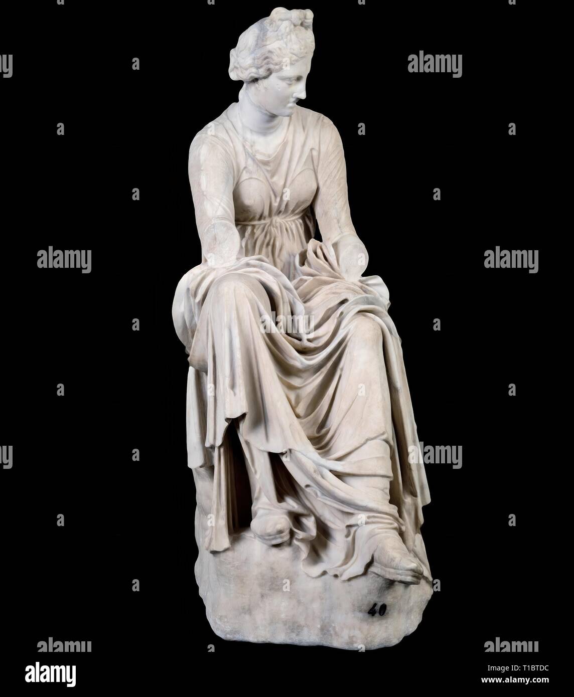 Musa calliope immagini e fotografie stock ad alta risoluzione - Alamy