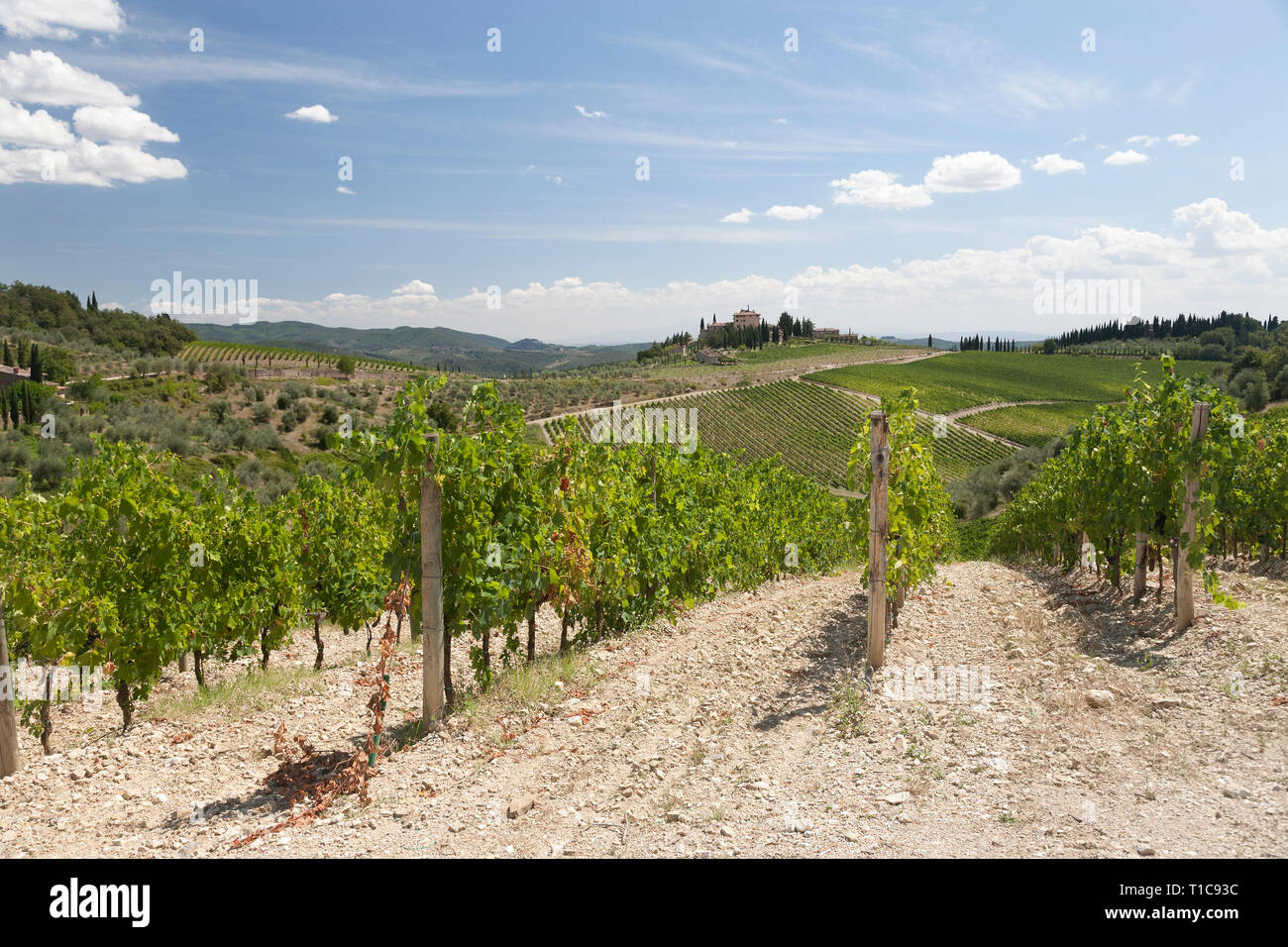 Vigneti del chianti immagini e fotografie stock ad alta risoluzione - Alamy