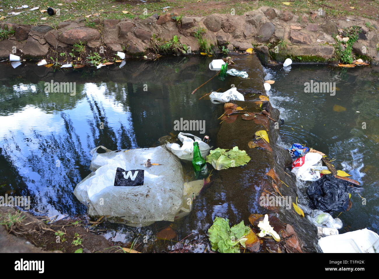 Inquinamento idrico immagini e fotografie stock ad alta risoluzione - Alamy