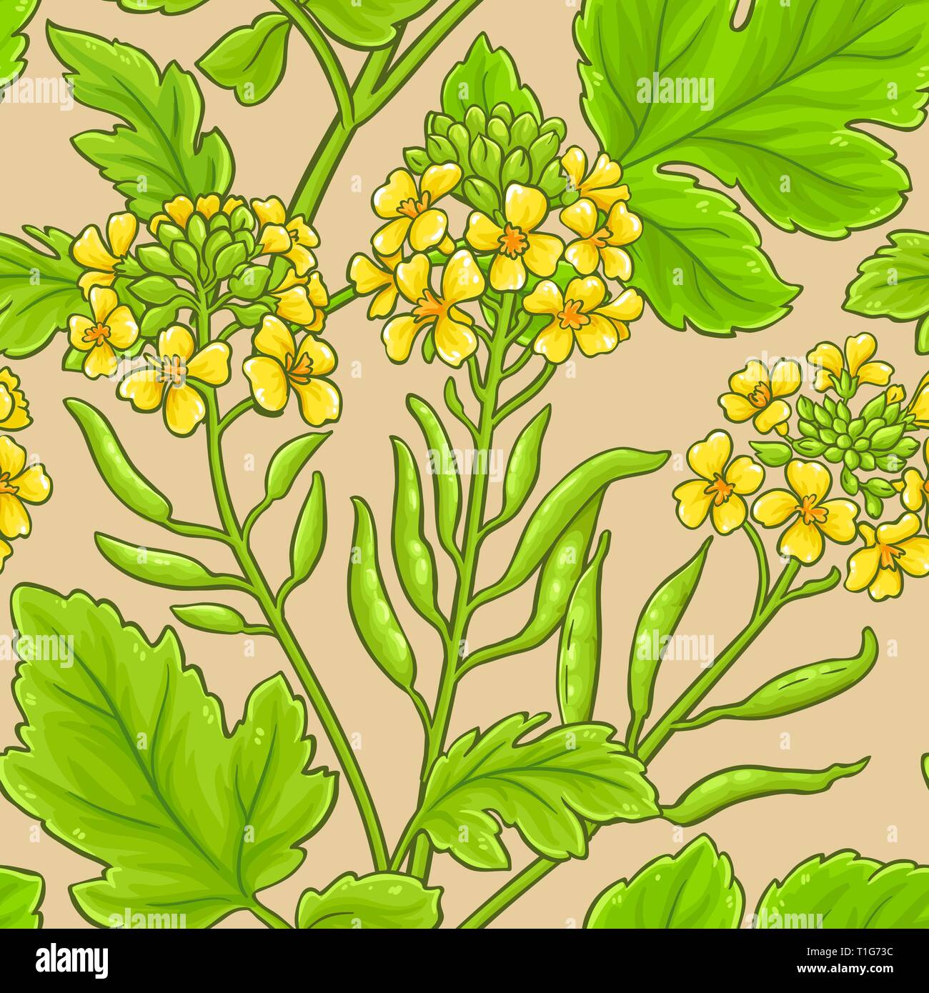 Senape nera Immagini Vettoriali Stock - Alamy