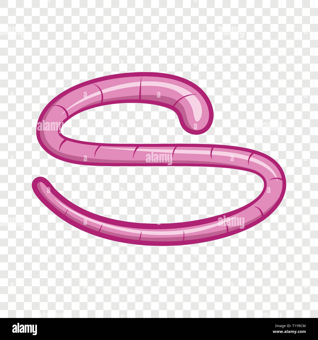 Ascaris lumbricoides human roundworm Immagini Vettoriali Stock - Alamy