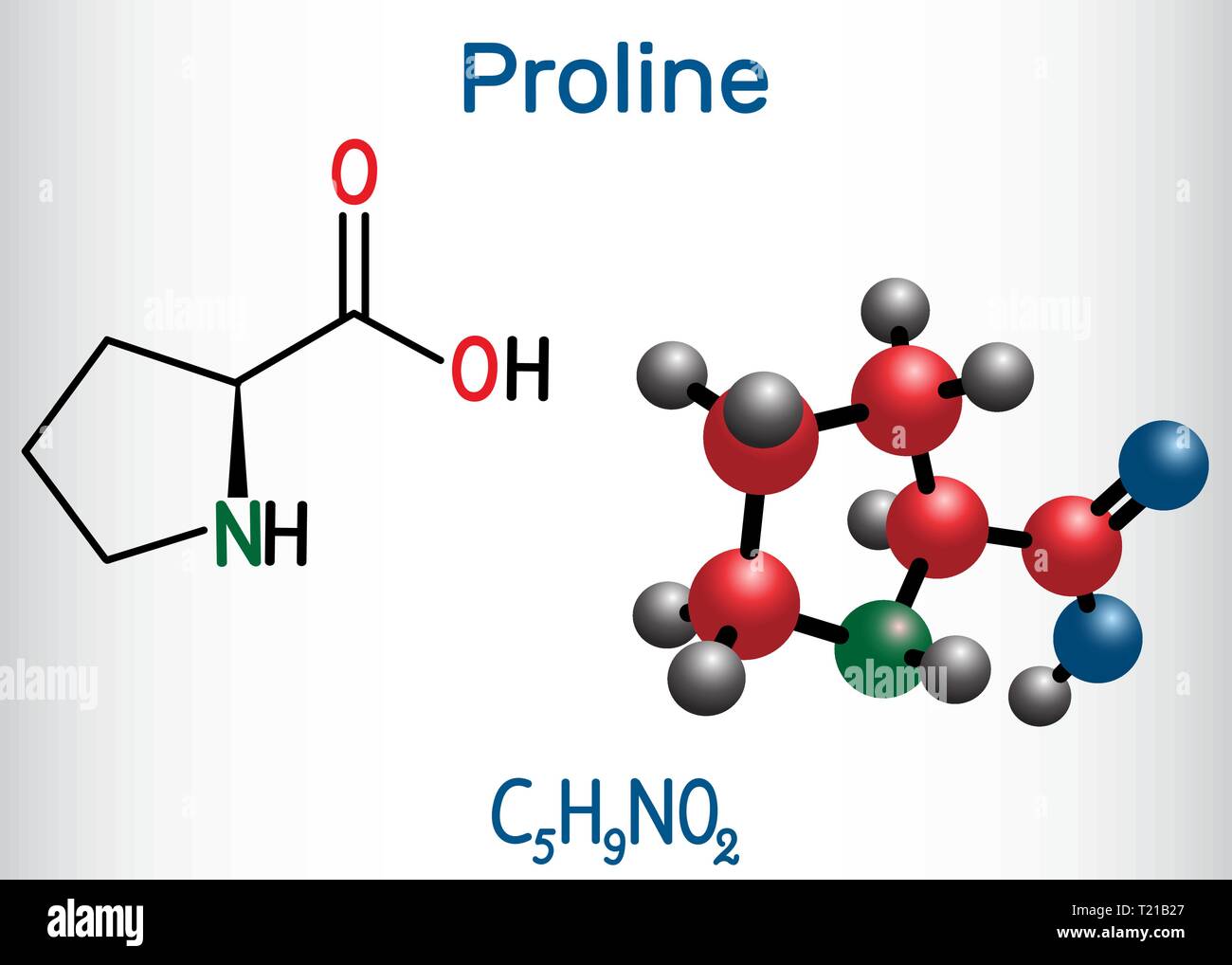 La prolina (L- prolina, Pro , P) proteinogenic amminoacido molecola ...