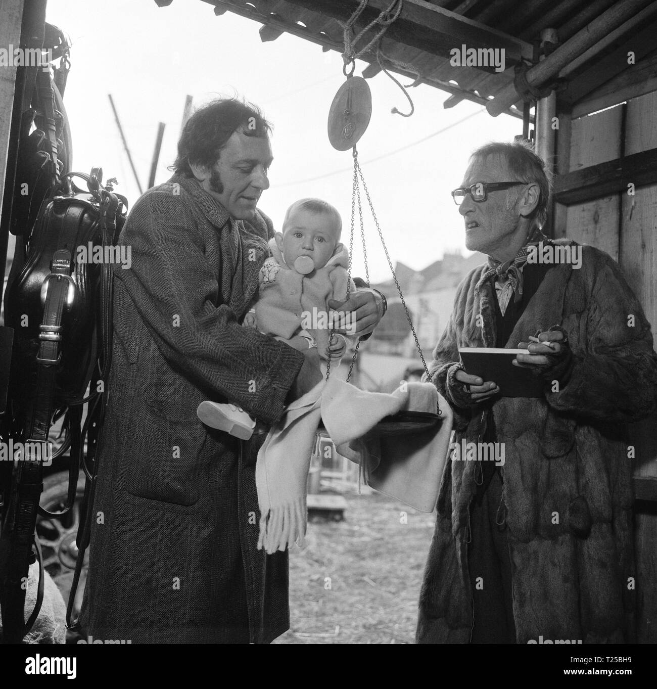 Steptoe & Figlio (1971) Harry H Corbett, Wilfrid Brambell, Gary Wraight ...