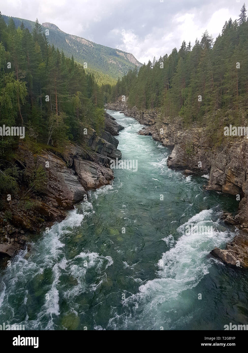 Alberi fluviali di montagna immagini e fotografie stock ad alta ...