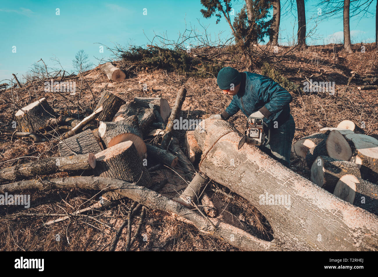 Attrezzi antichi contadini immagini e fotografie stock ad alta ...