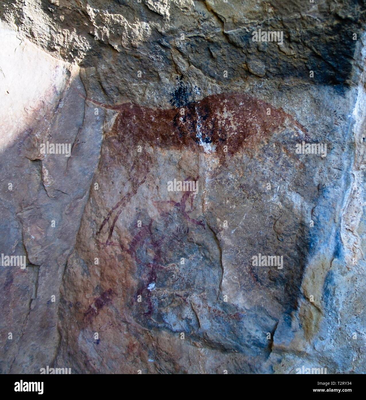 San boscimani caverna dipinti di arte rupestre immagini e fotografie ...