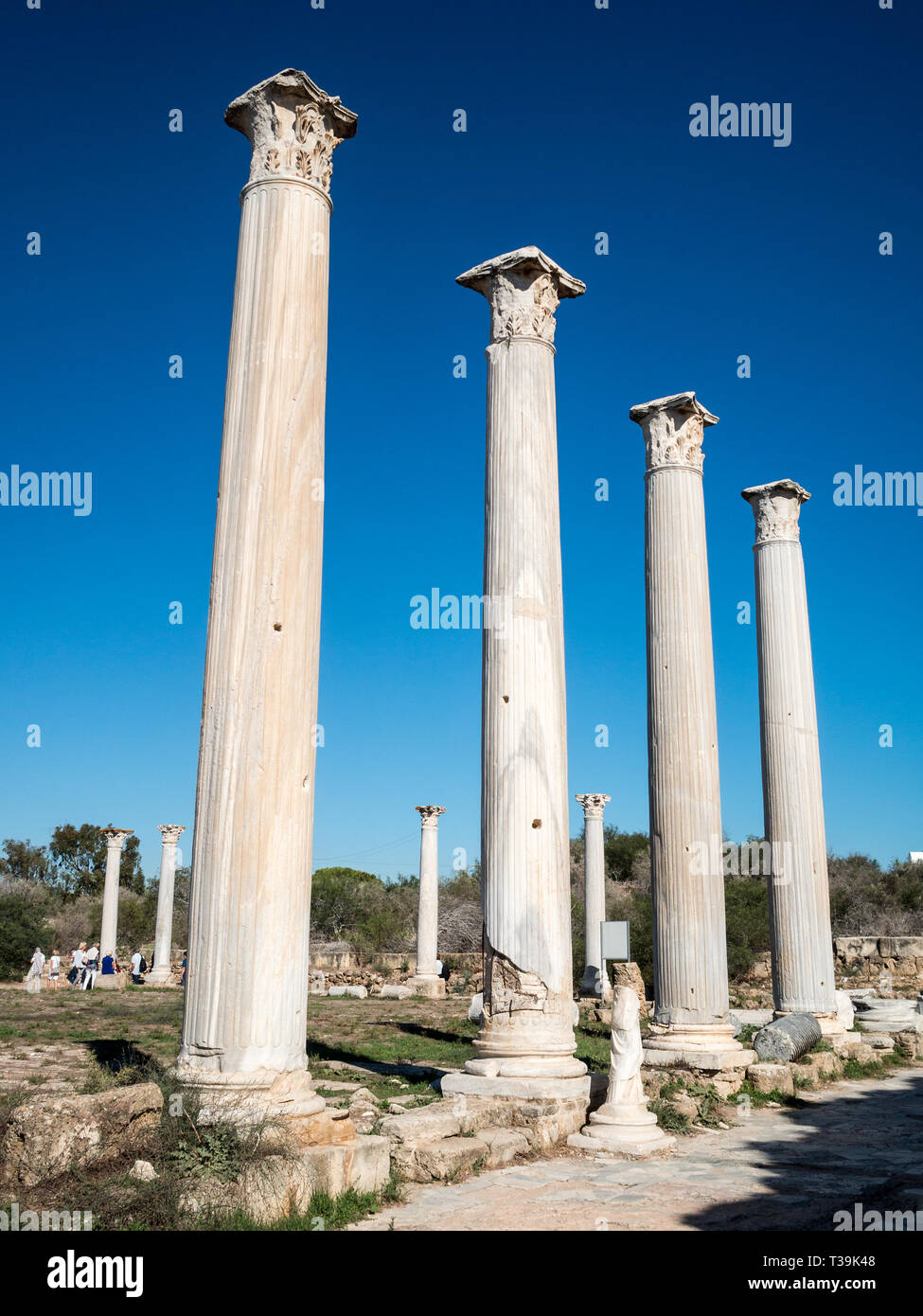 Colonne della colonna del salame cipro immagini e fotografie stock ad ...