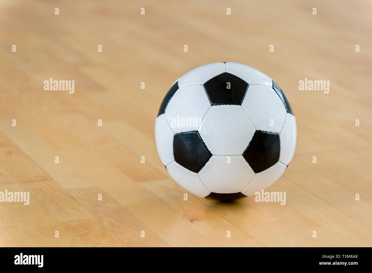 Pallone futsal palestra immagini e fotografie stock ad alta risoluzione ...