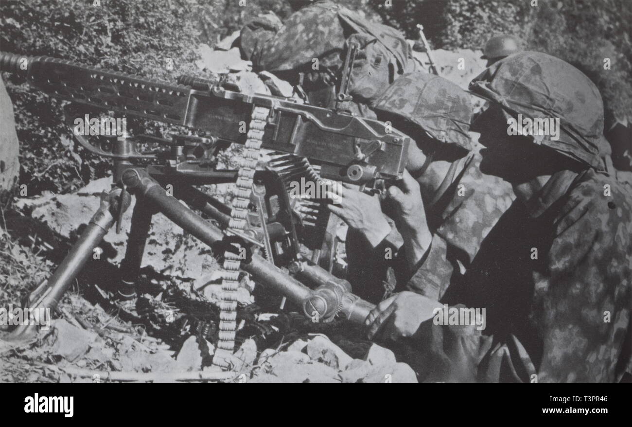 Waffen ss division immagini e fotografie stock ad alta risoluzione - Alamy