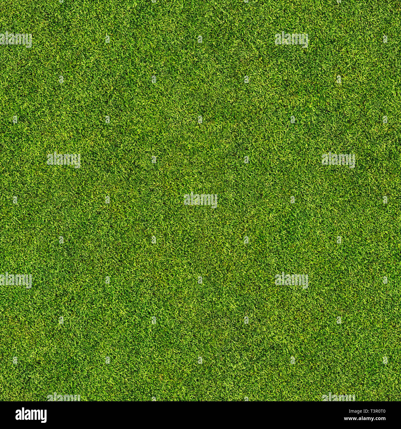 Grass seamless texture immagini e fotografie stock ad alta risoluzione ...
