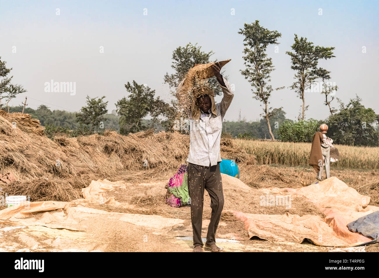 Metodi di separazione immagini e fotografie stock ad alta risoluzione ...