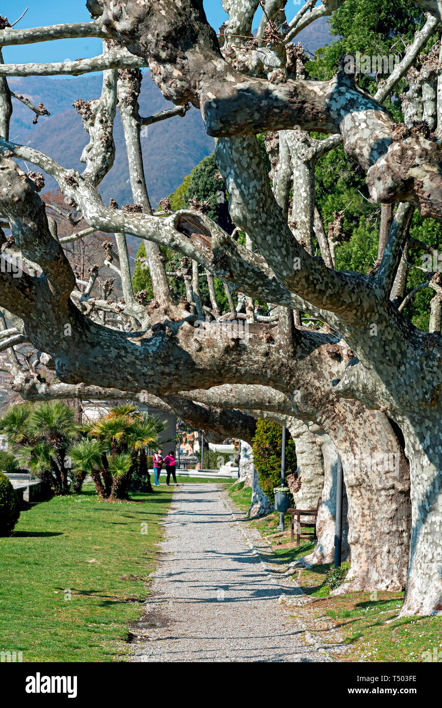 Como park immagini e fotografie stock ad alta risoluzione - Alamy