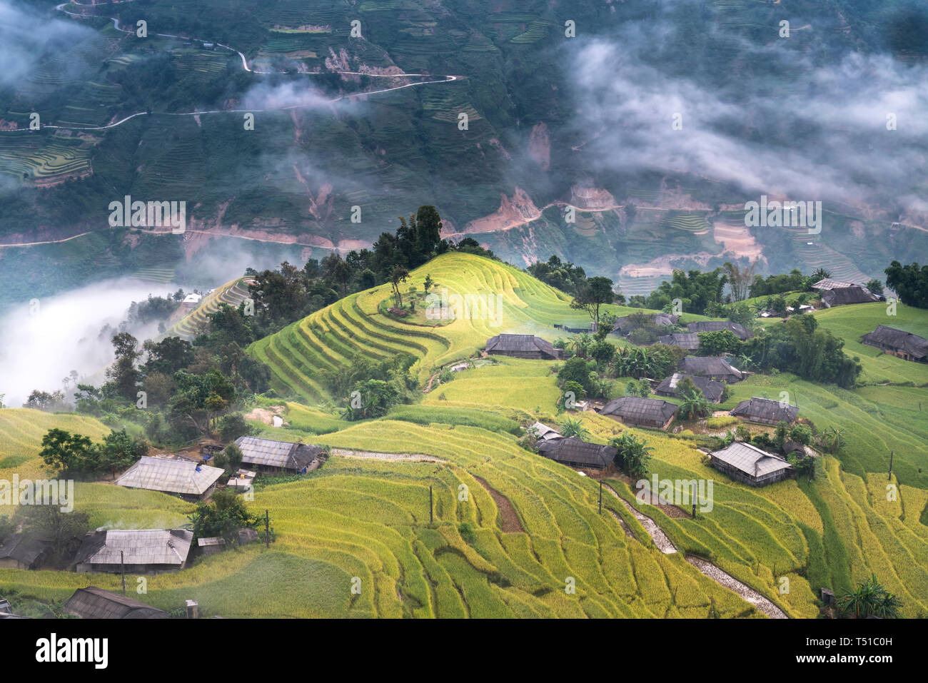Alba su campi di riso prepara il raccolto a nord-ovest del Vietnam. I ...