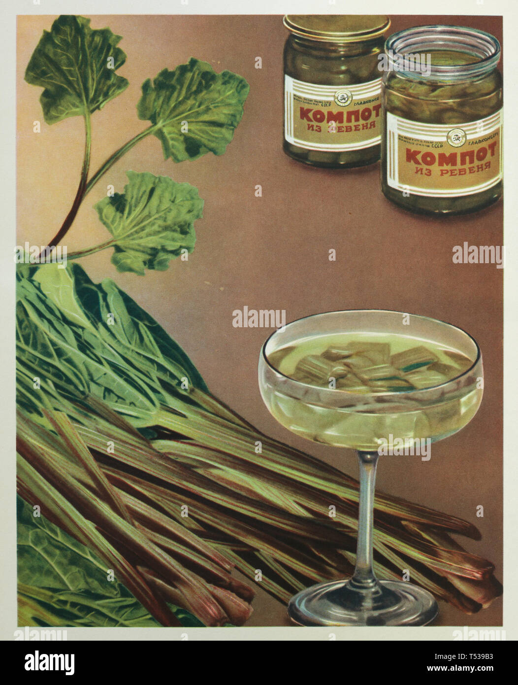 Rhubarb plant drawing immagini e fotografie stock ad alta risoluzione ...