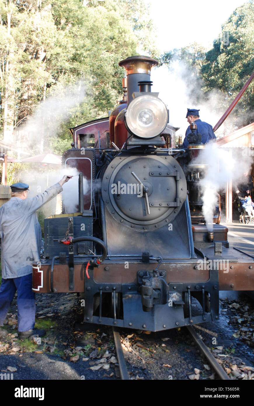 Puffing billy railway immagini e fotografie stock ad alta risoluzione ...