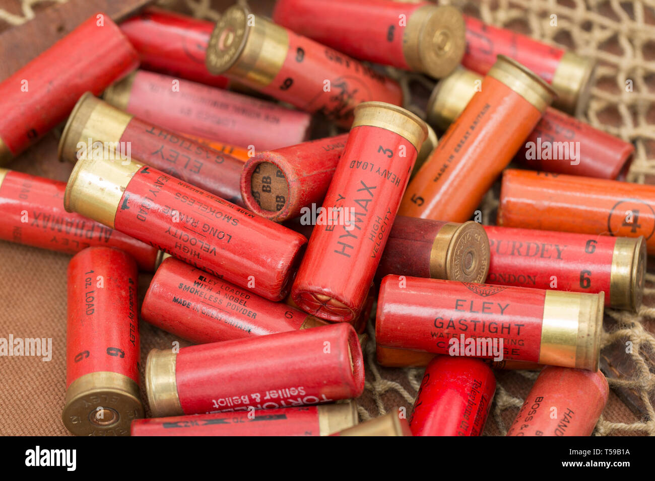 Una selezione di calibro 12 caso della carta cartucce di fucile ...