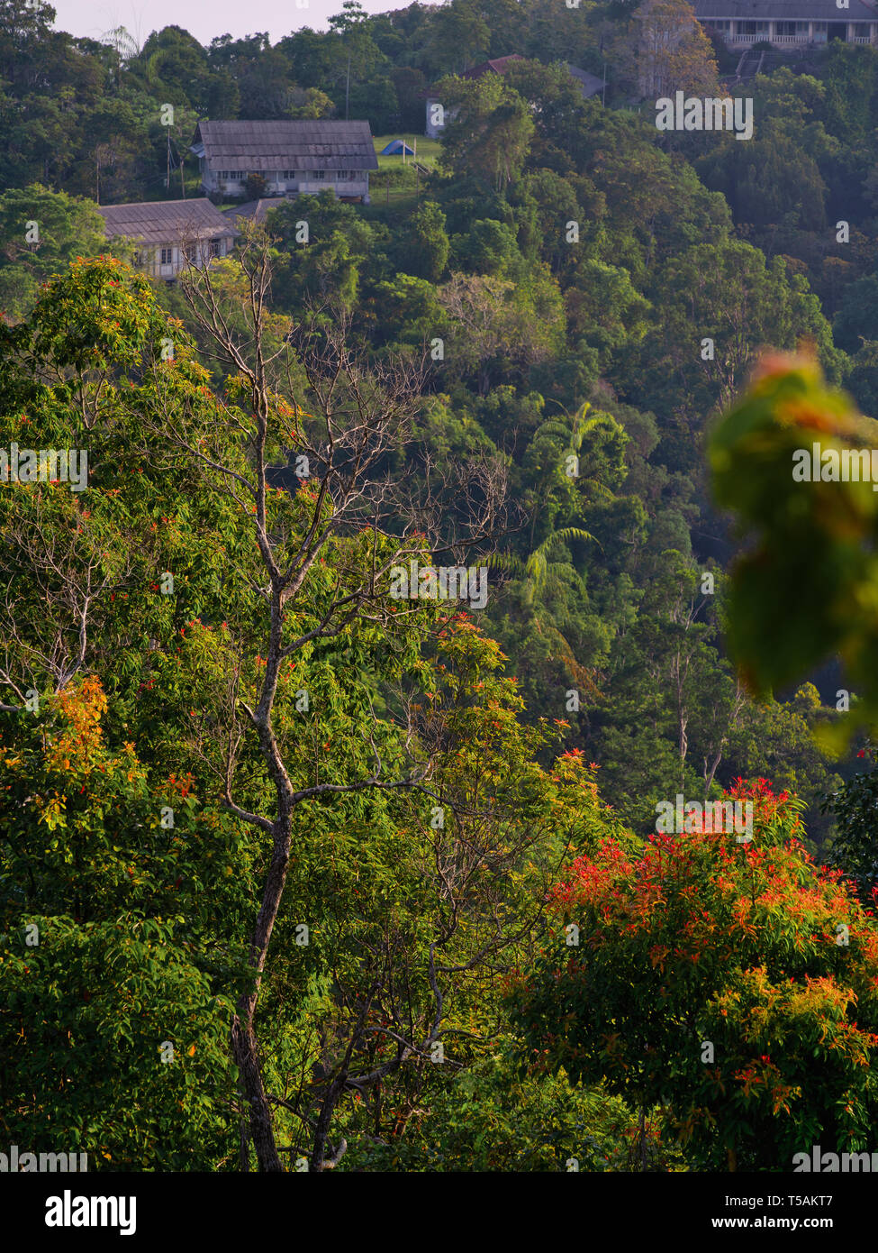 Flora di collina immagini e fotografie stock ad alta risoluzione - Alamy