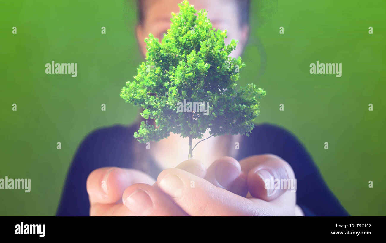 Albero naturale con volto umano immagini e fotografie stock ad alta ...