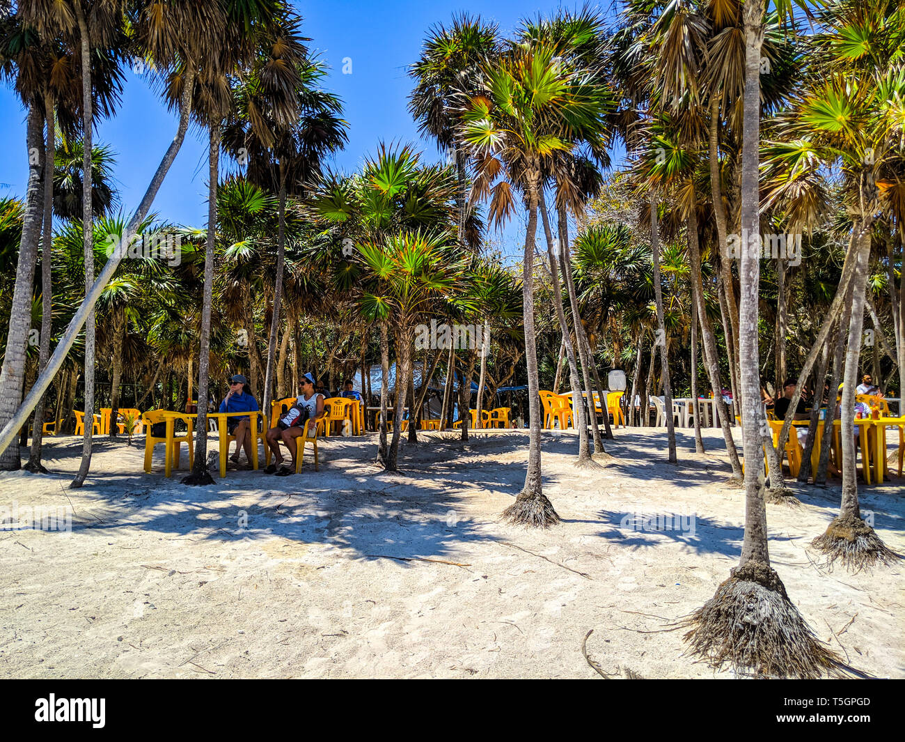 Spiagge messicane immagini e fotografie stock ad alta risoluzione - Alamy