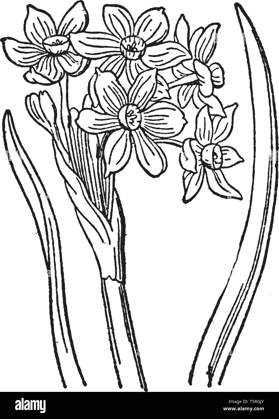 Il disegno piu bello del mondo immagini e fotografie stock ad alta ...