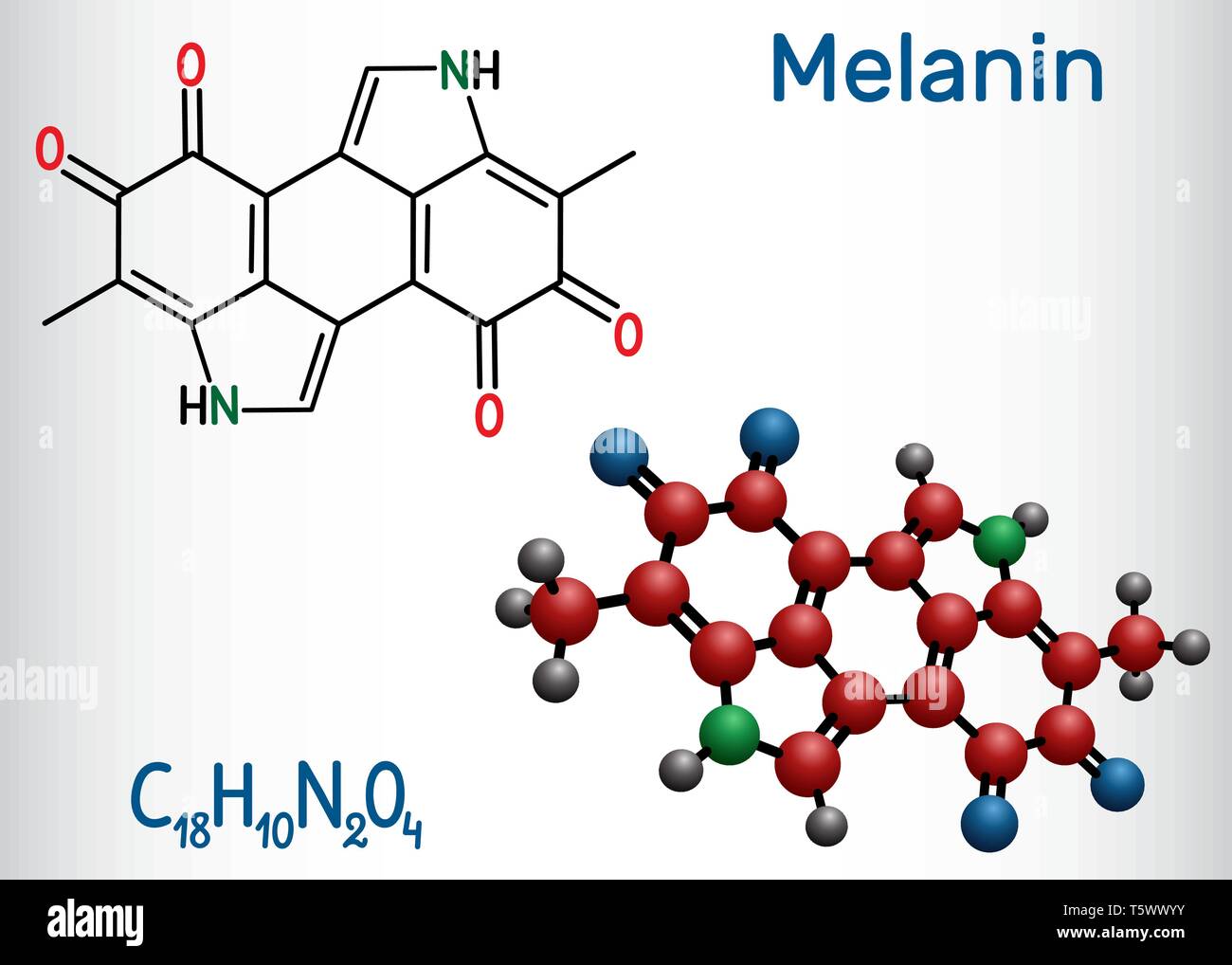 Pigmento di eumelanina immagini e fotografie stock ad alta risoluzione ...
