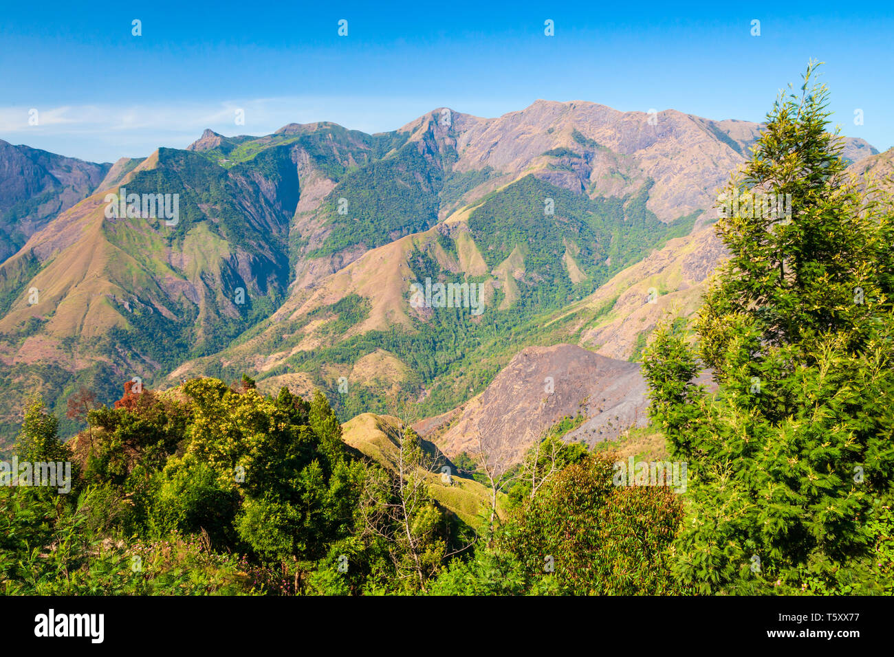 Tamil nadu karnataka immagini e fotografie stock ad alta risoluzione ...
