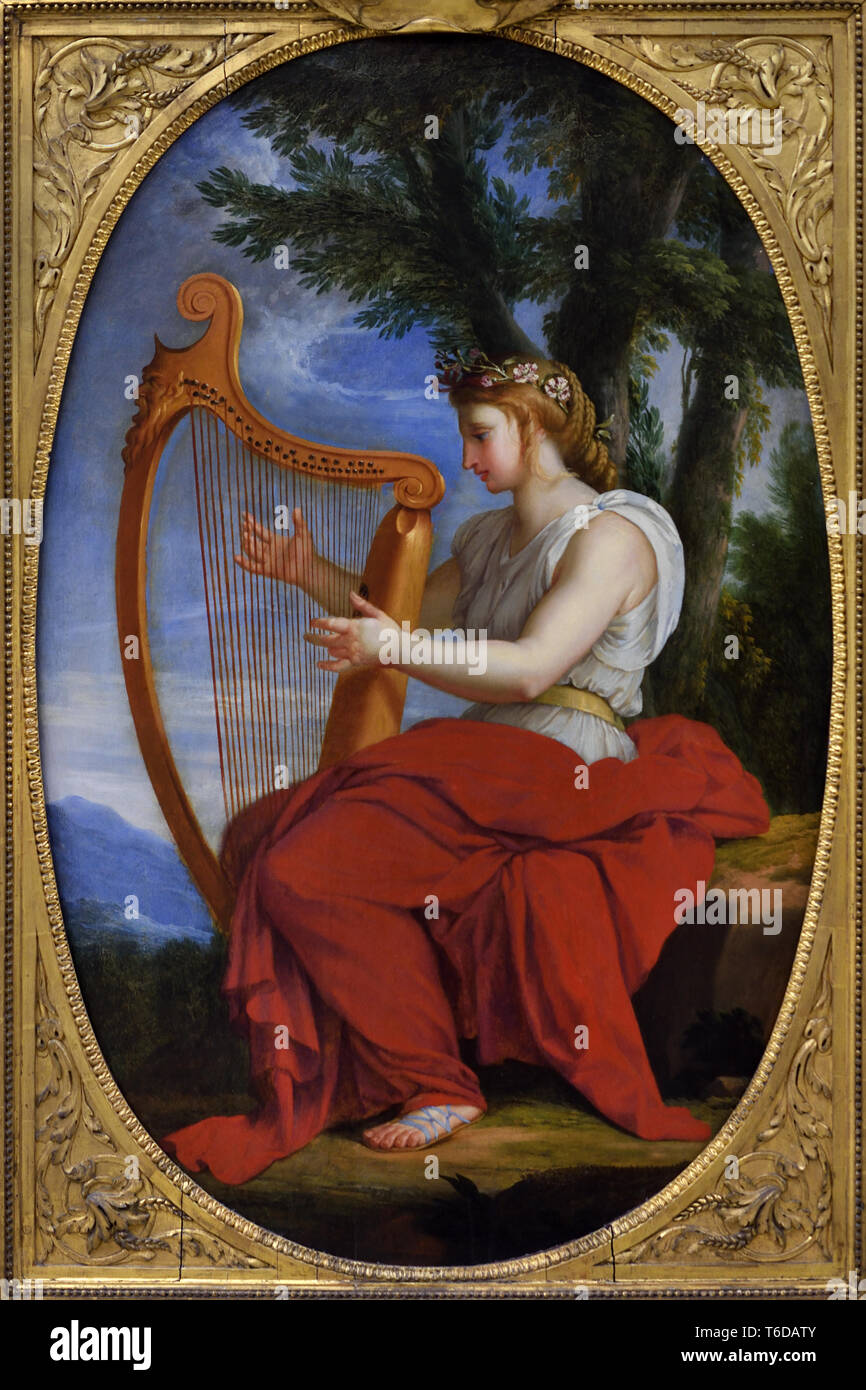 Musa calliope immagini e fotografie stock ad alta risoluzione - Alamy