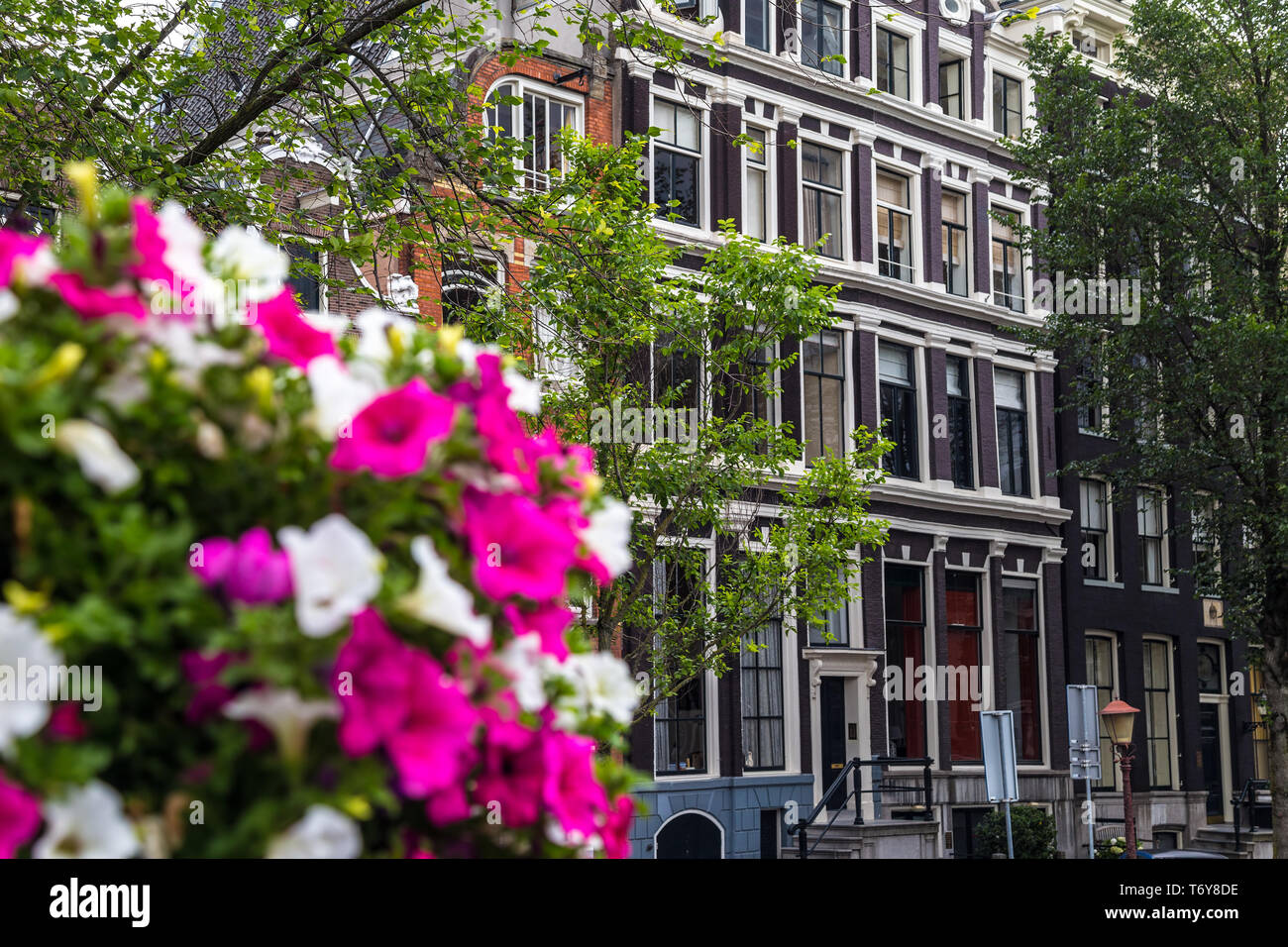 Amsterdam colourful houses immagini e fotografie stock ad alta ...