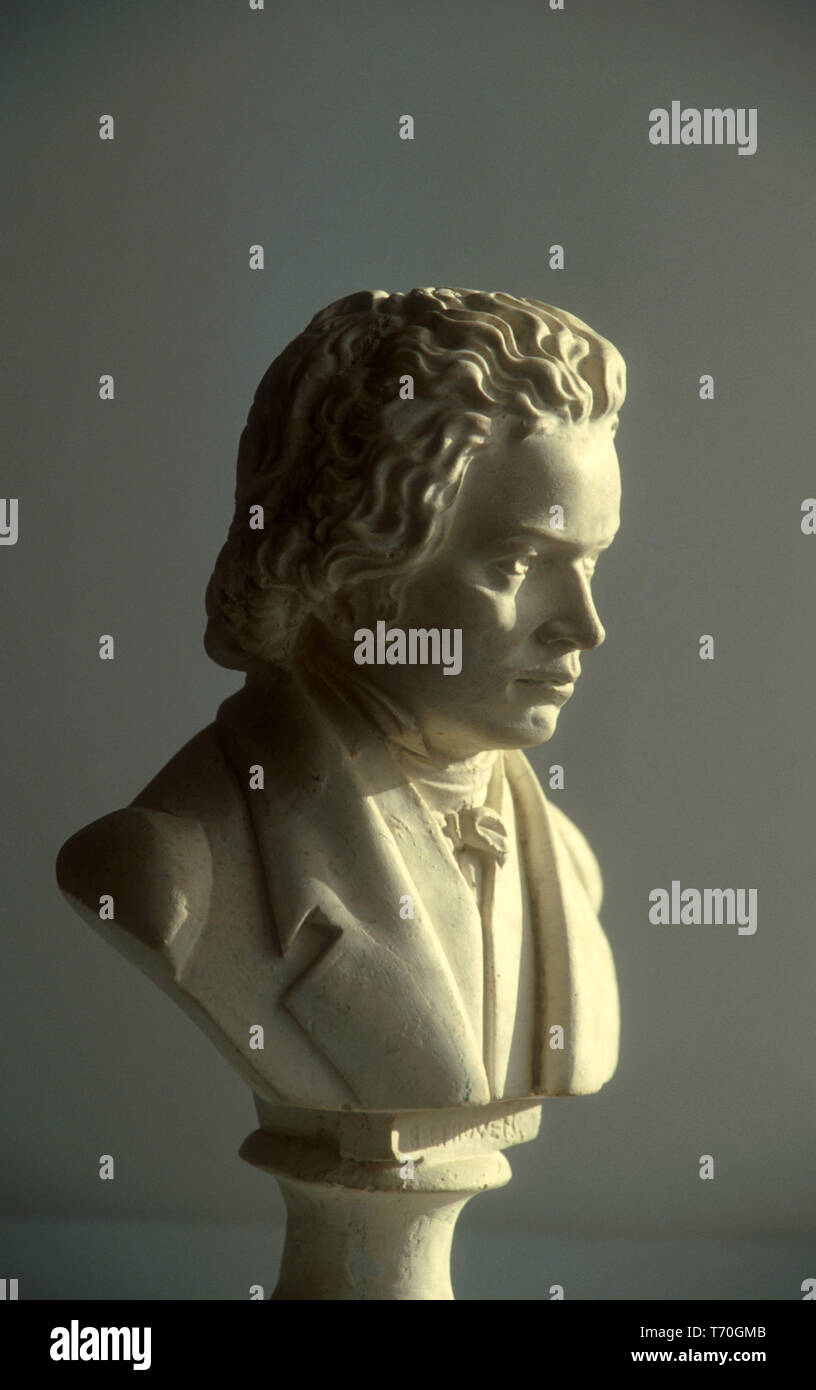 Bust of ludwig van beethoven immagini e fotografie stock ad alta ...